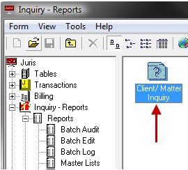 Client/Matter Inquiry report
