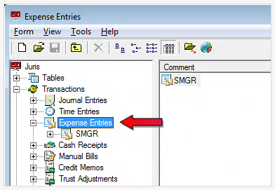 Create an Expense Entry